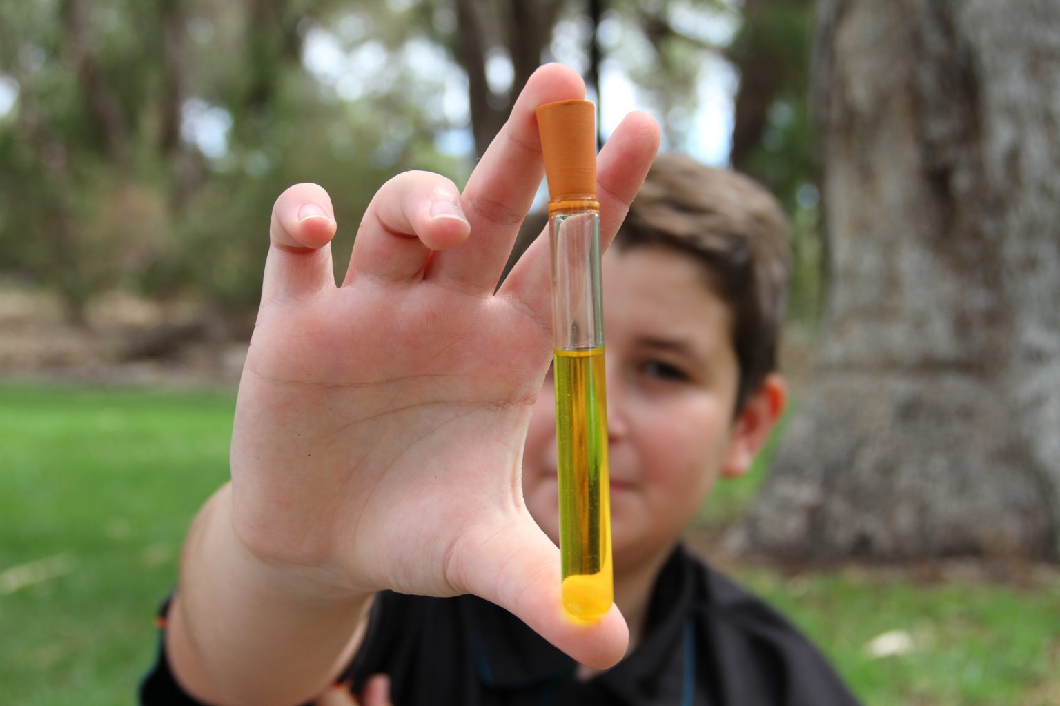 JBSC-Map – Joseph Banks Secondary College